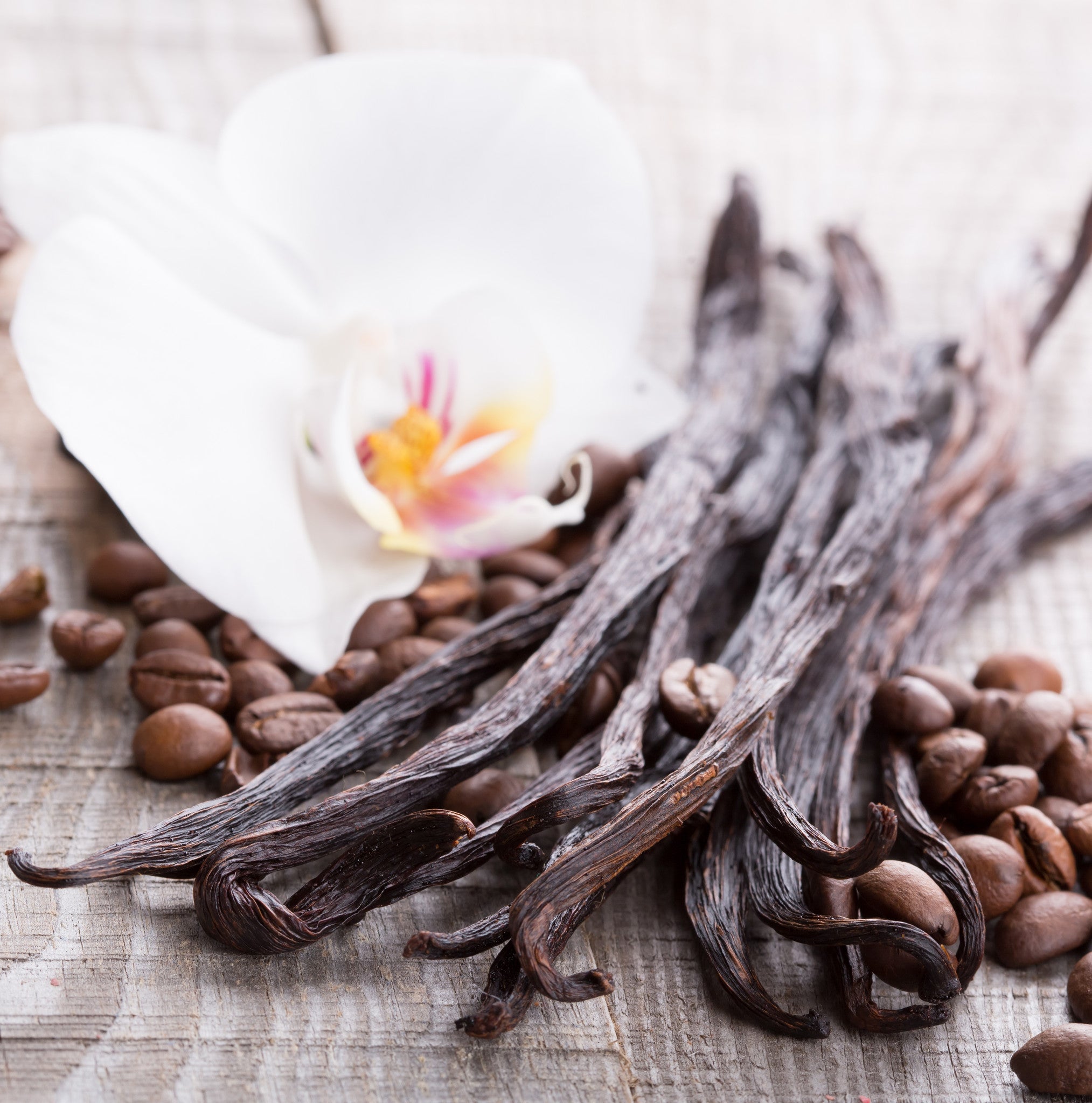 FRESHLY ROASTED NATURALLY FLAVORED COFFEE - FULL LINE AVAILABLE ON AMA ...